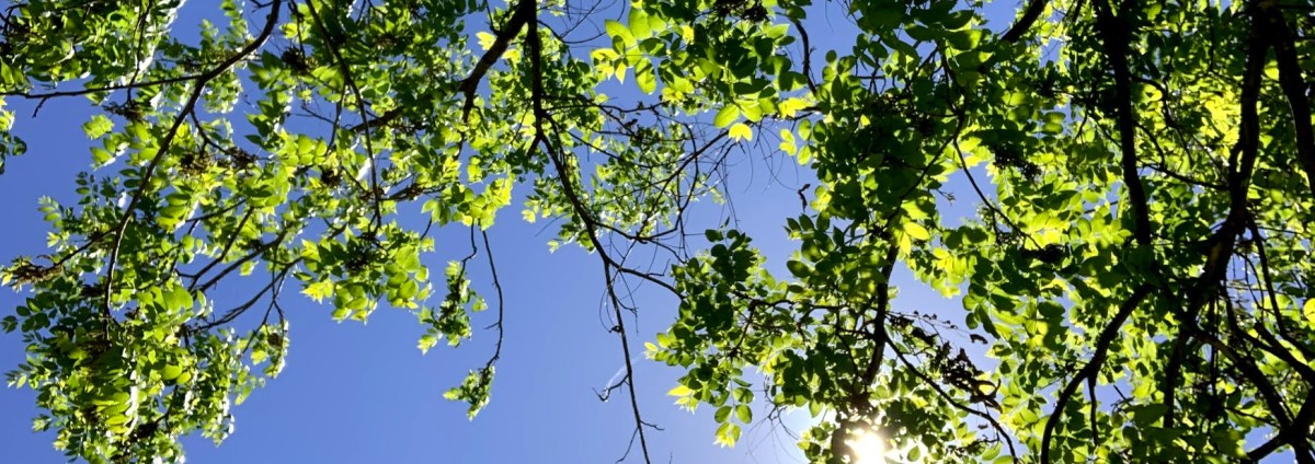 2021 Phase II of APPIC Match – Grace A. Chen, Ph.D.